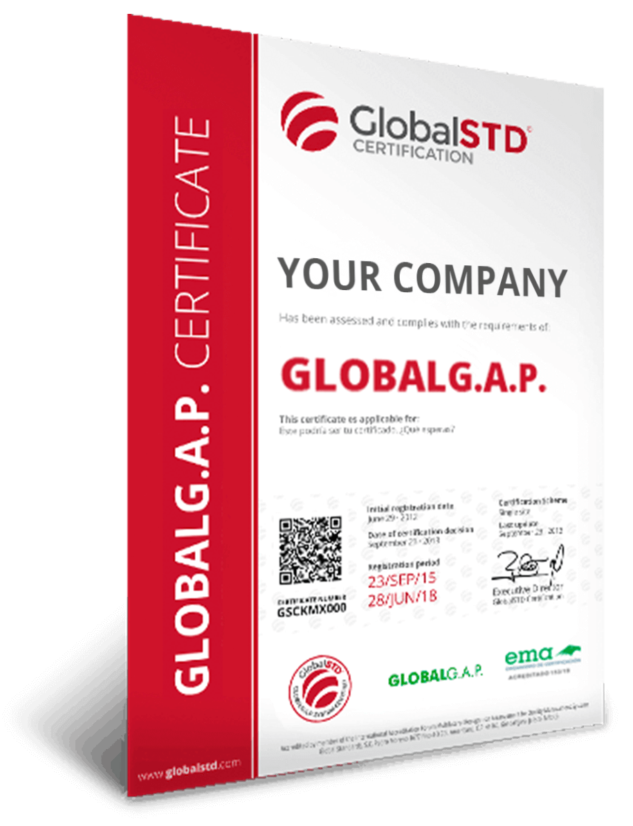 GlobalG.A.P. - Certificación de Buenas Prácticas Agrícolas - GlobalSTD