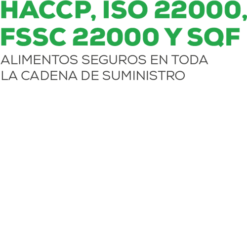 Global Standards - Certificación en estándares de calidad ISO