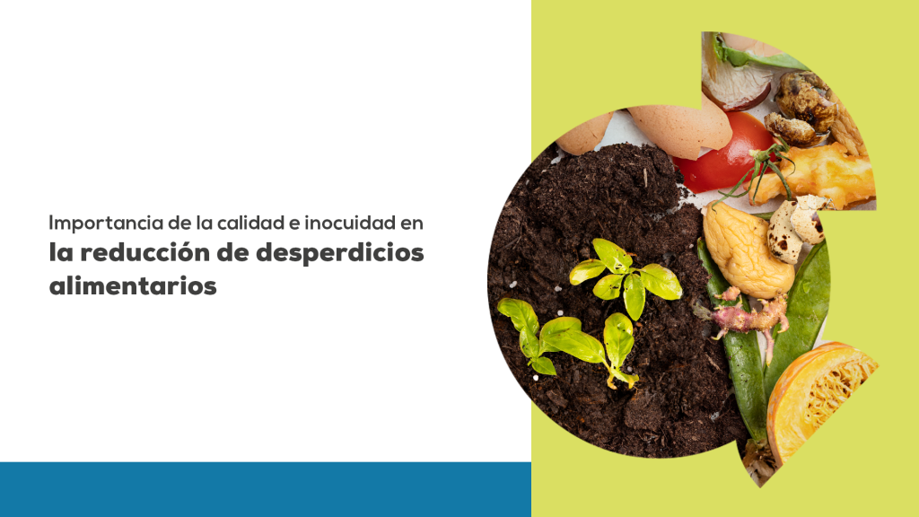 Global TV - Inocuidad Alimentaria - Global Standards